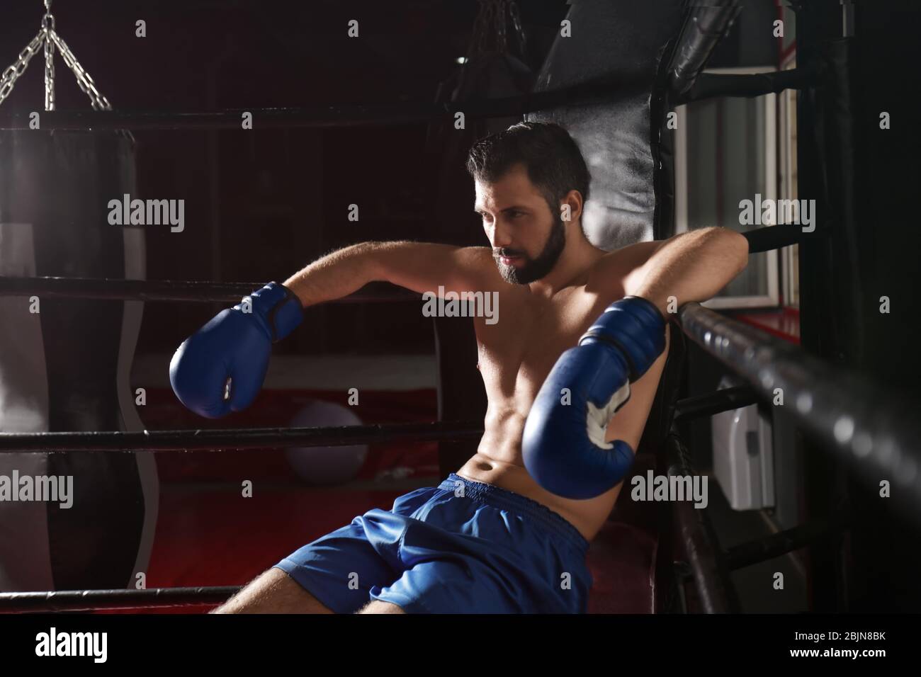 Professional boxer having break during training Stock Photo - Alamy