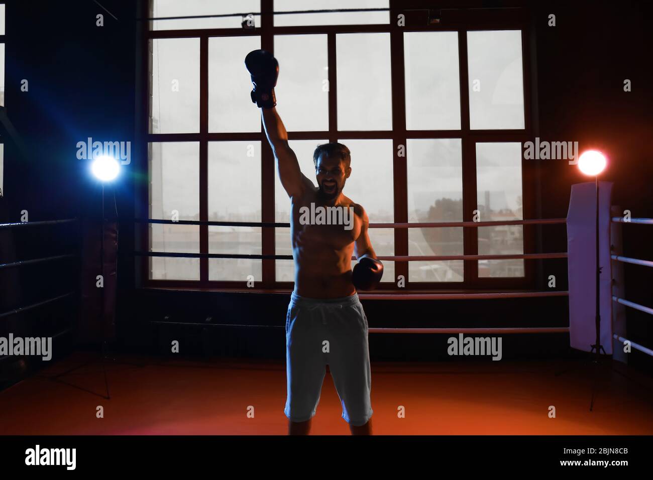 Young professional boxer winning competition Stock Photo - Alamy