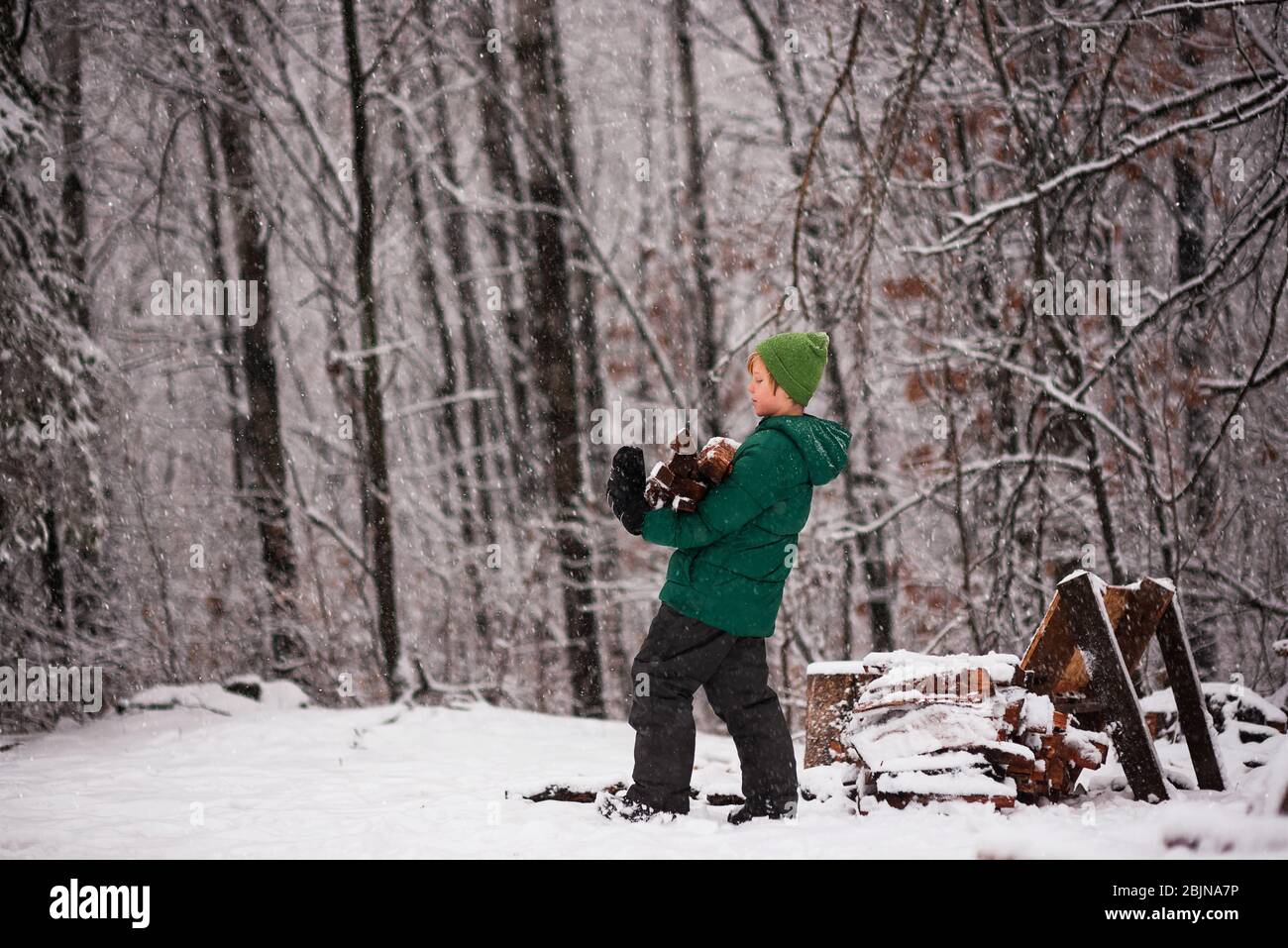 Boy collecting firewood from a woodpile in the garden, USA Stock Photo ...