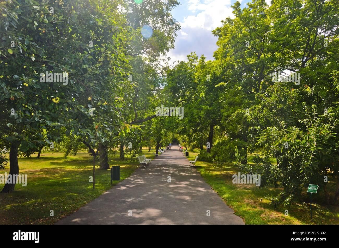Prague city park hi-res stock photography and images - Alamy