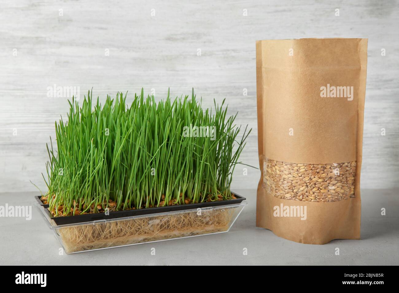 Sprouting seeds on paper hi-res stock photography and images - Alamy