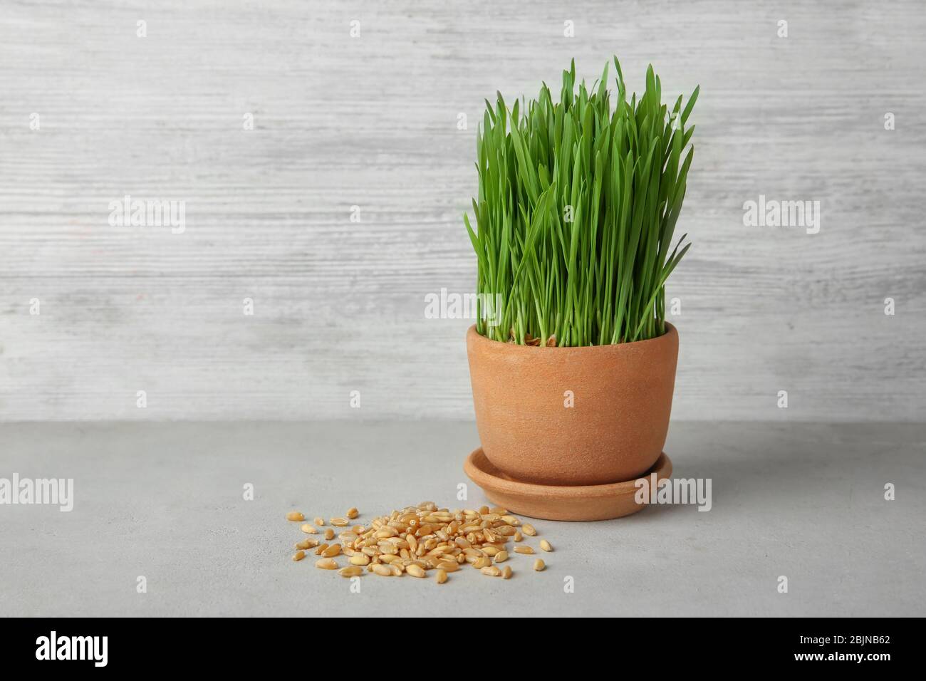 Superfood pile wheat grass hi-res stock photography and images - Alamy