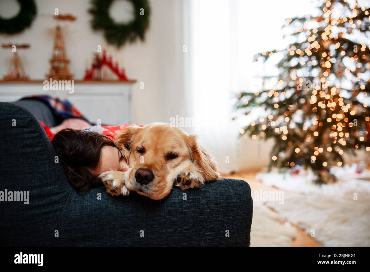Dog girl sleeping on hi-res stock photography and images - Alamy