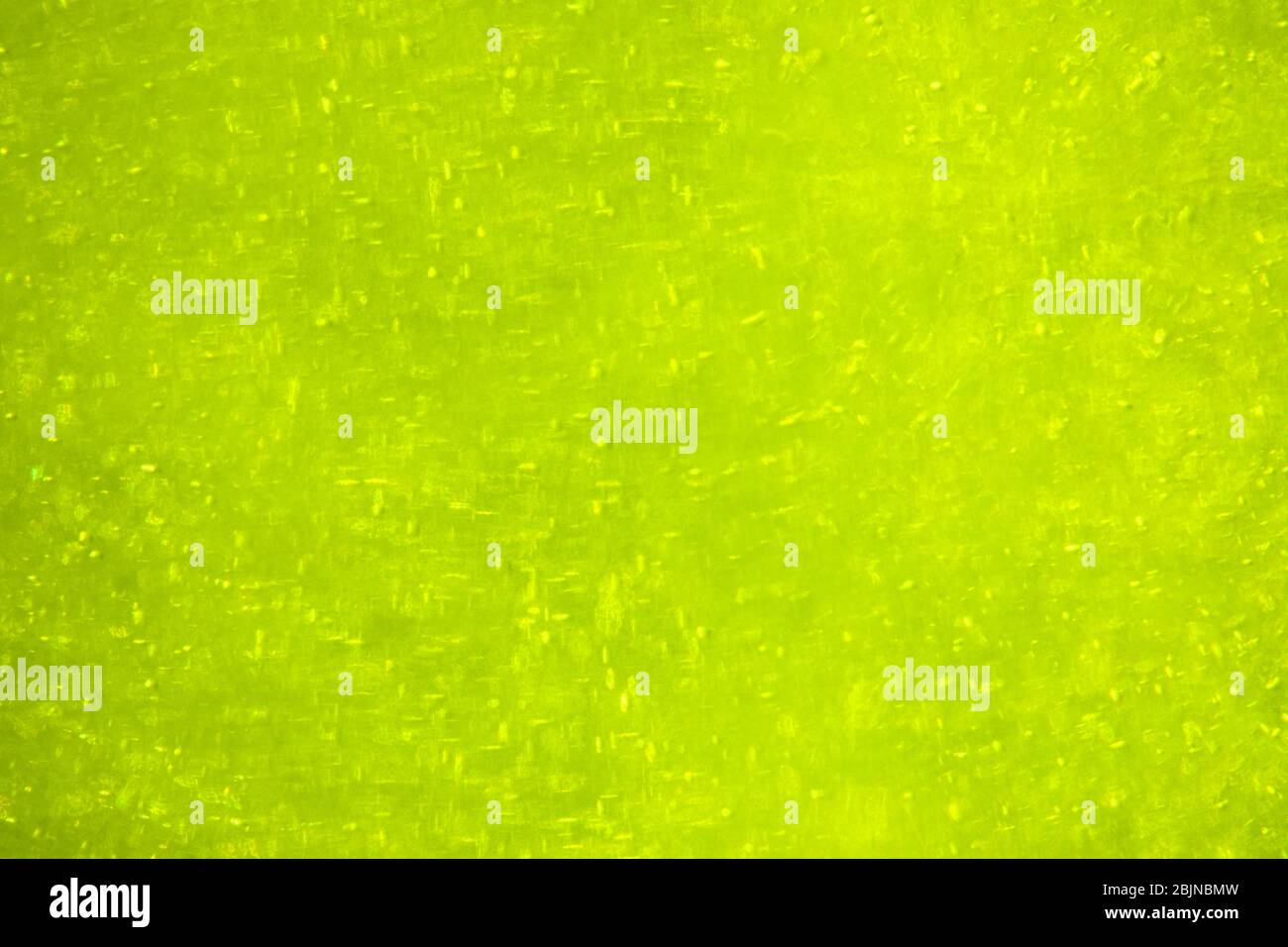 Celadon, vivid bright green liquid with bubbles Stock Photo - Alamy