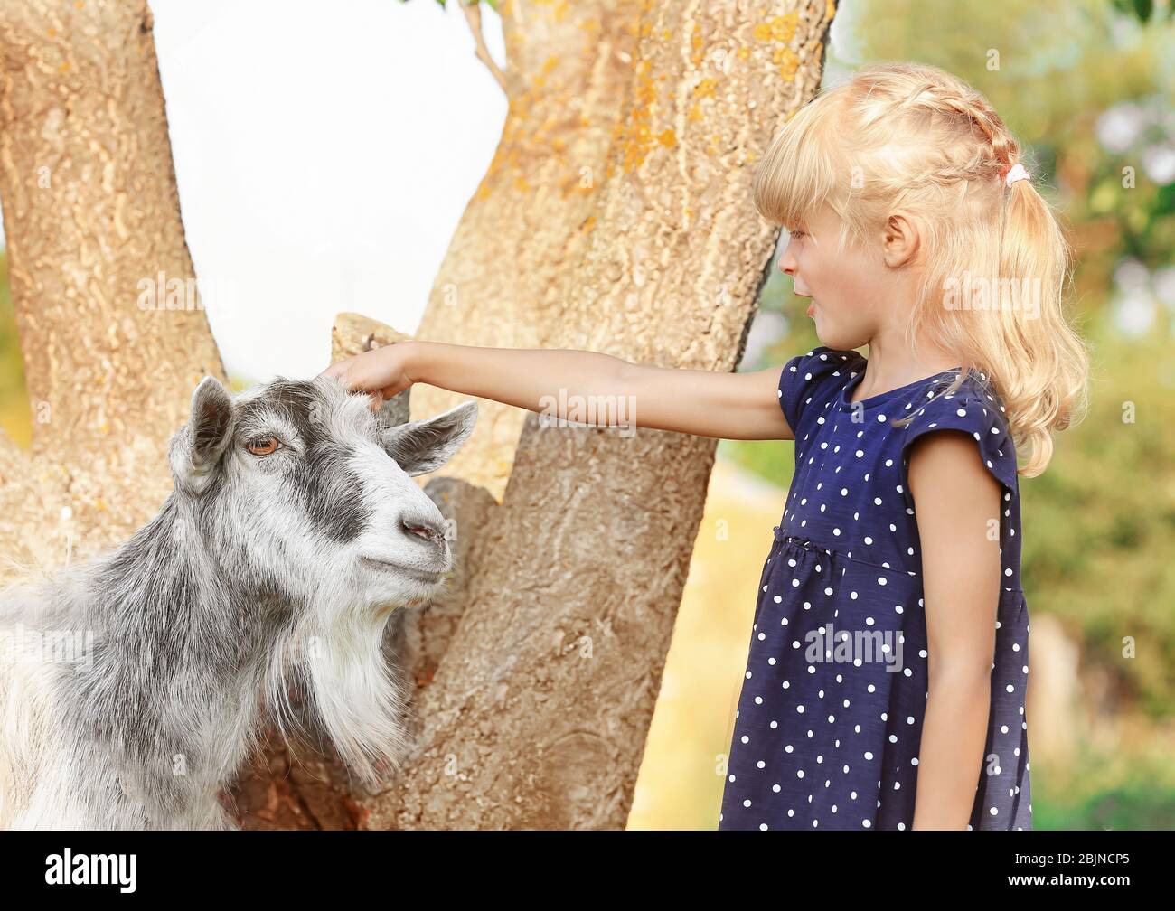 Little girl with goat on farm Stock Photo - Alamy