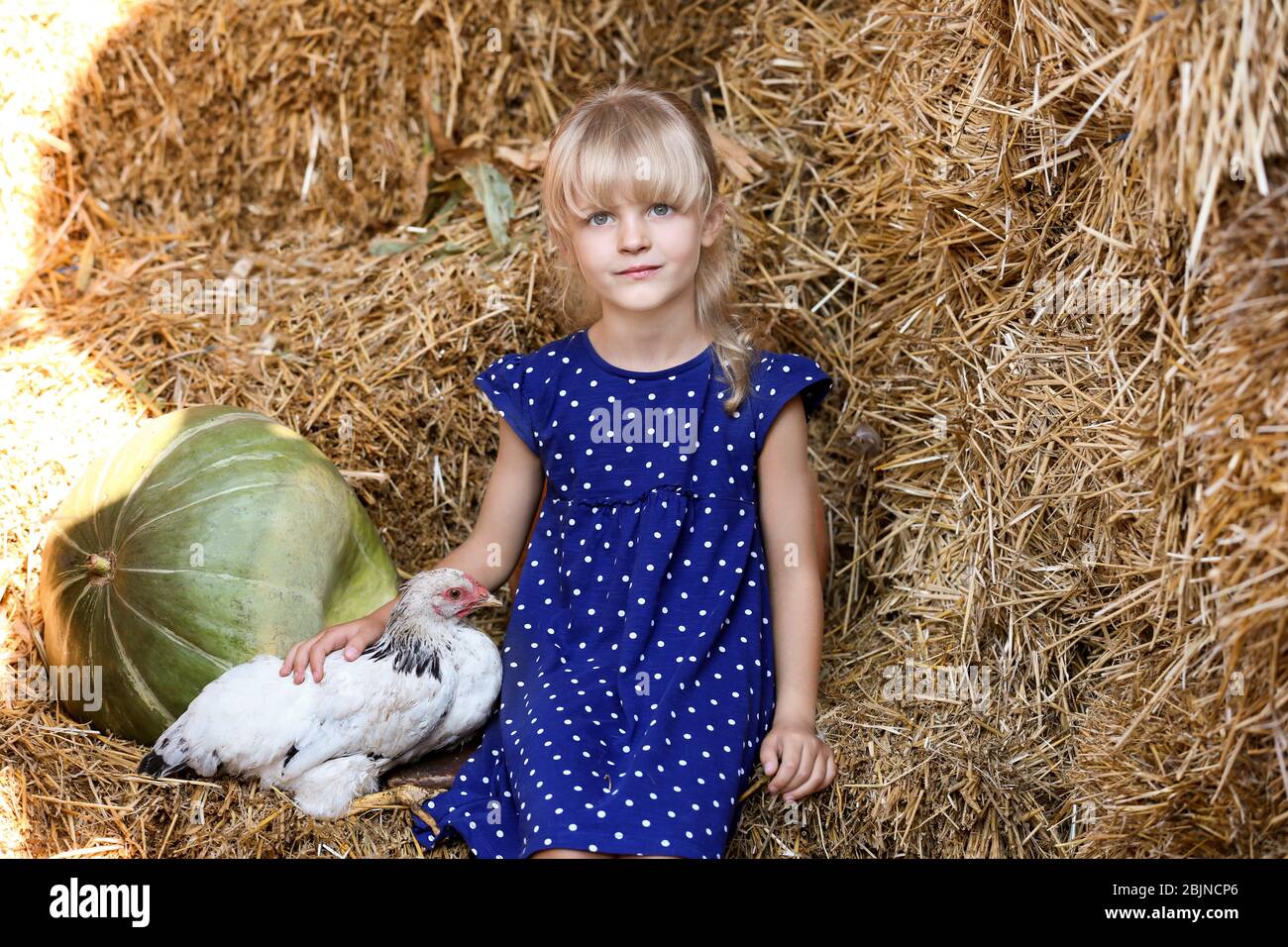 Little girl with chicken near haystack on farm Stock Photo - Alamy