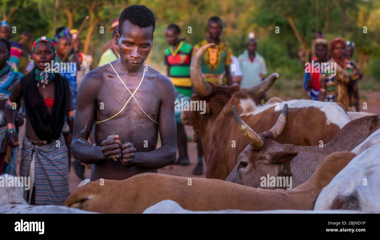 Ethiopian bull jump hi-res stock photography and images - Alamy