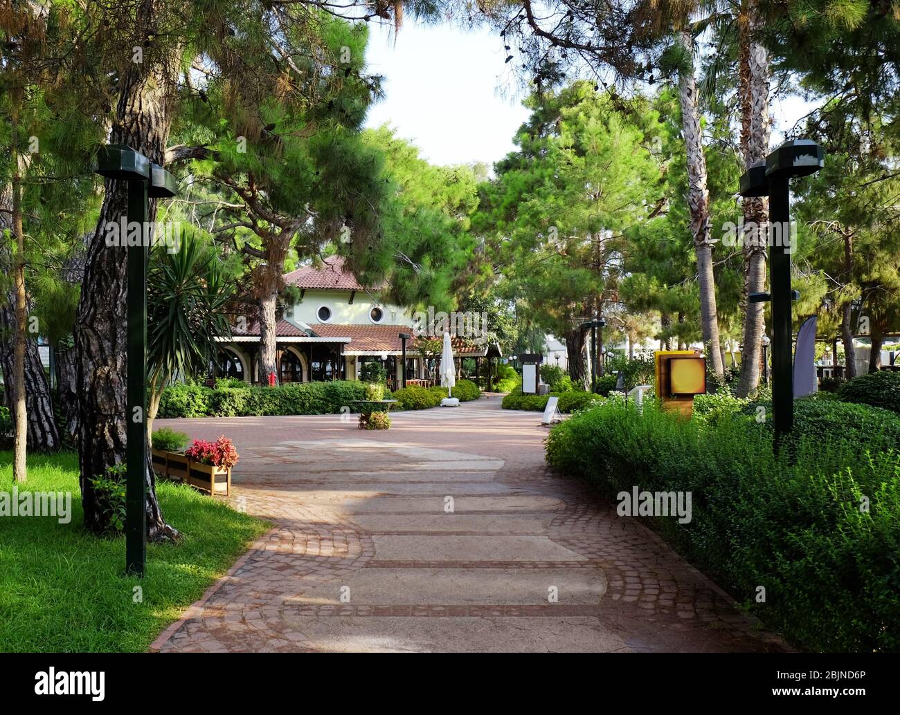 Beautiful view of sidewalk in park Stock Photo - Alamy