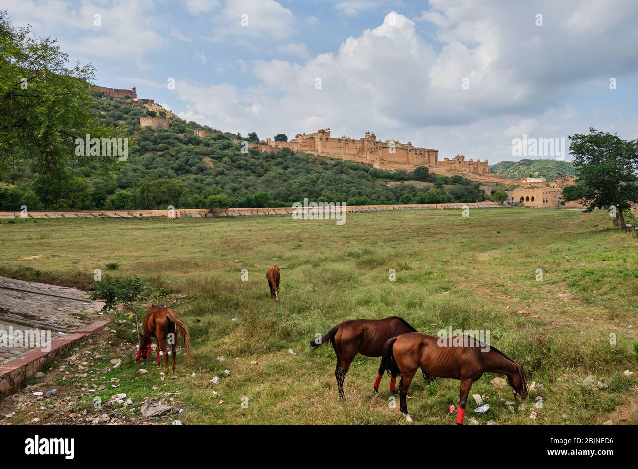 Asia hindu mughal rajasthan unesco hi-res stock photography and images ...