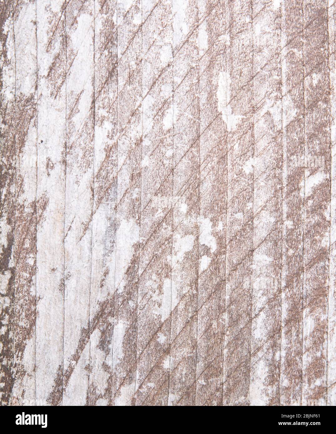 Cellulose texture hi-res stock photography and images - Alamy