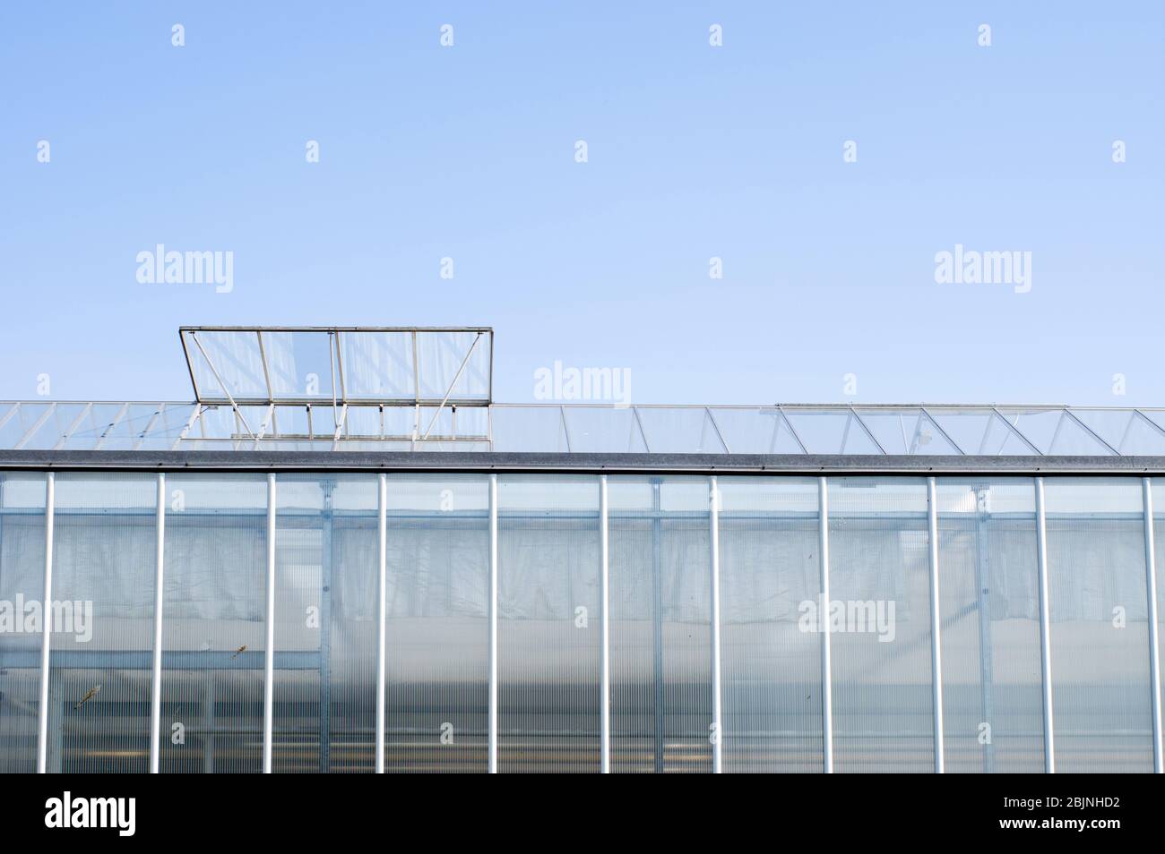 Exterior of a greenhouse made of glass with open window for ventilation ...