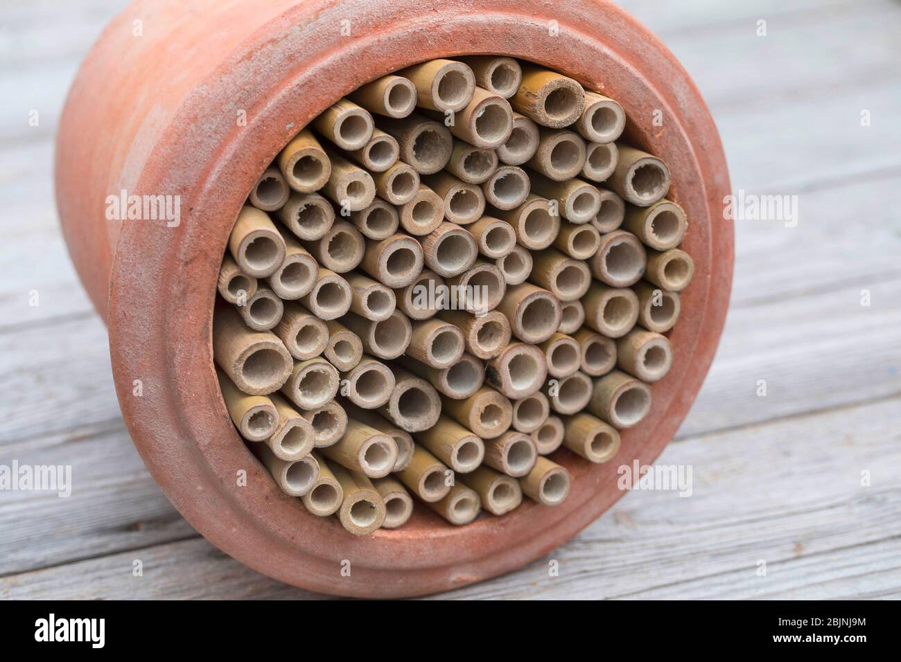 Bamboo sticks hi-res stock photography and images - Alamy