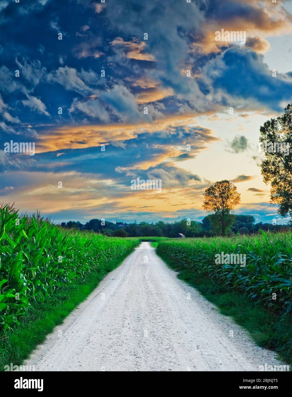 field path in the evening with dramatic sky sunset Stock Photo - Alamy