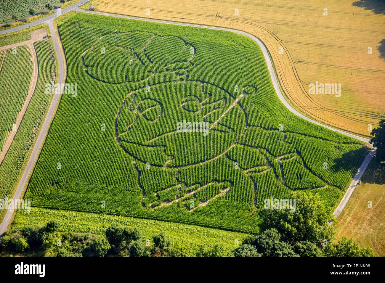 Maize maze 2017 hi-res stock photography and images - Alamy
