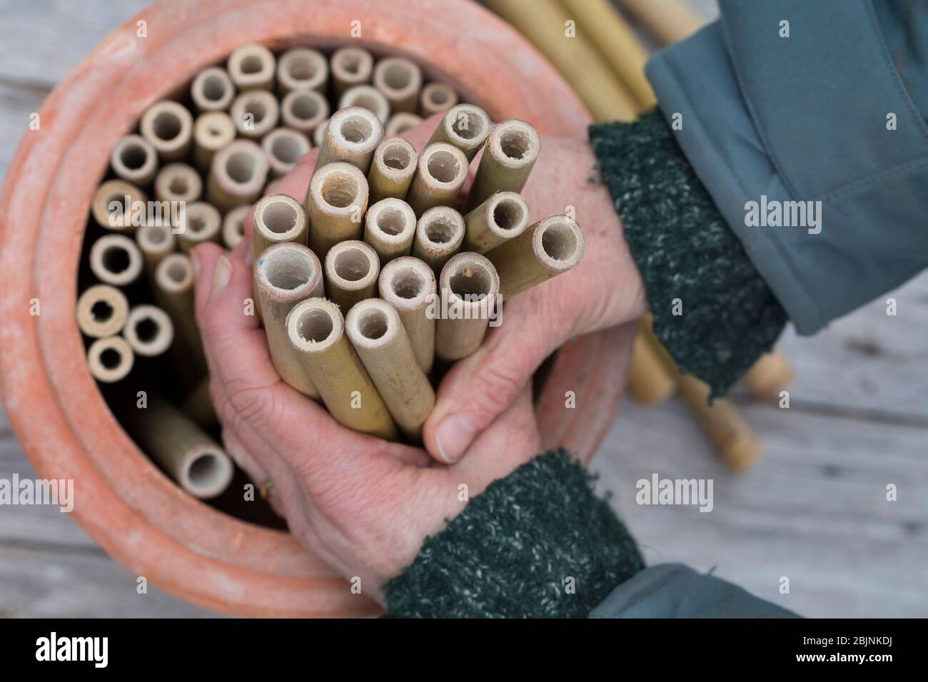 Bamboo sticks hi-res stock photography and images - Alamy