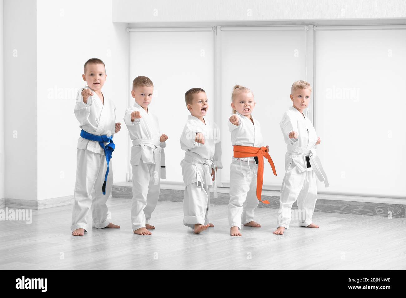 Little children practicing karate in dojo Stock Photo - Alamy