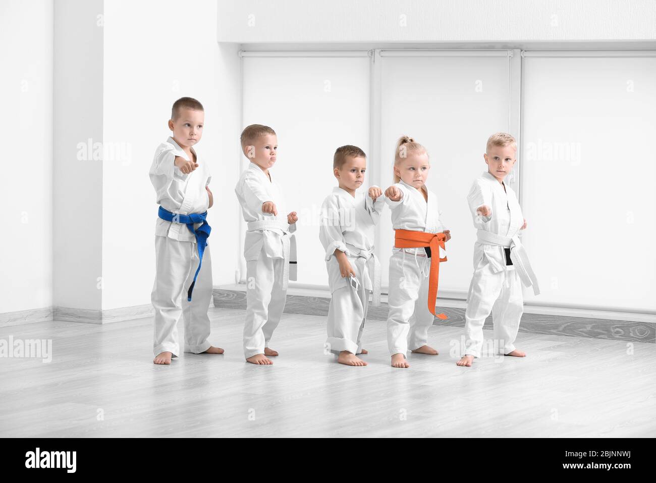 Little children practicing karate in dojo Stock Photo - Alamy
