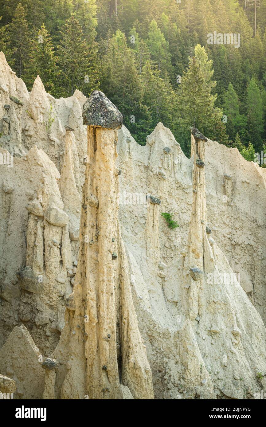 Earth pyramids of Platten, Percha, South Tyrol, Italy Stock Photo - Alamy