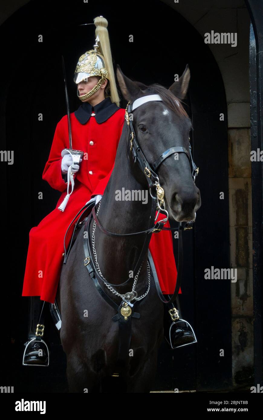 Horse mounted soldier of the Household Cavalry, part of the British ...
