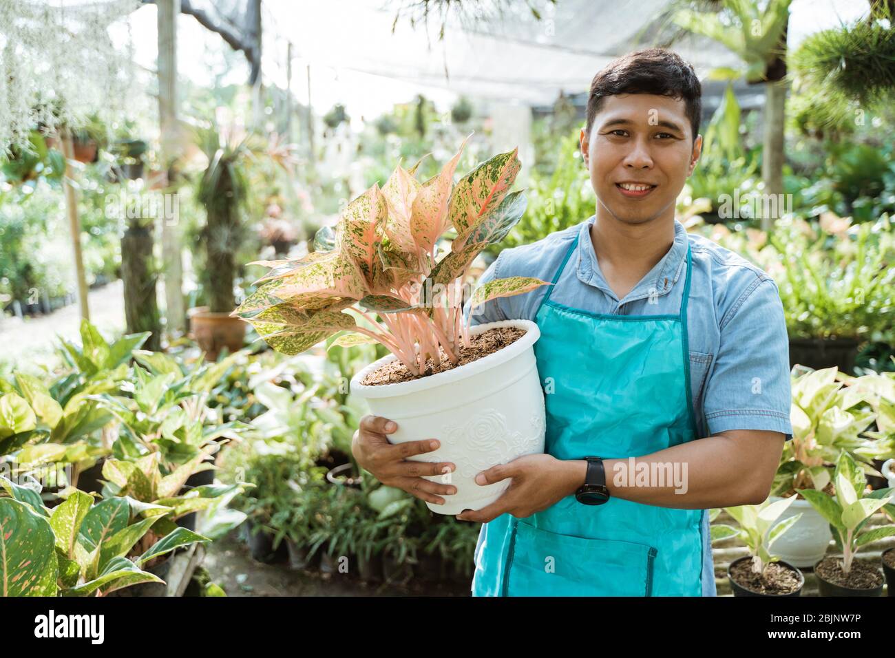 Man carrying pot plants hi-res stock photography and images - Alamy