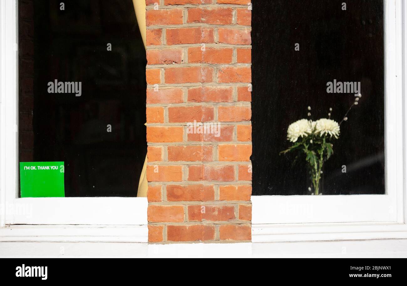 Thank you message window hi-res stock photography and images - Alamy