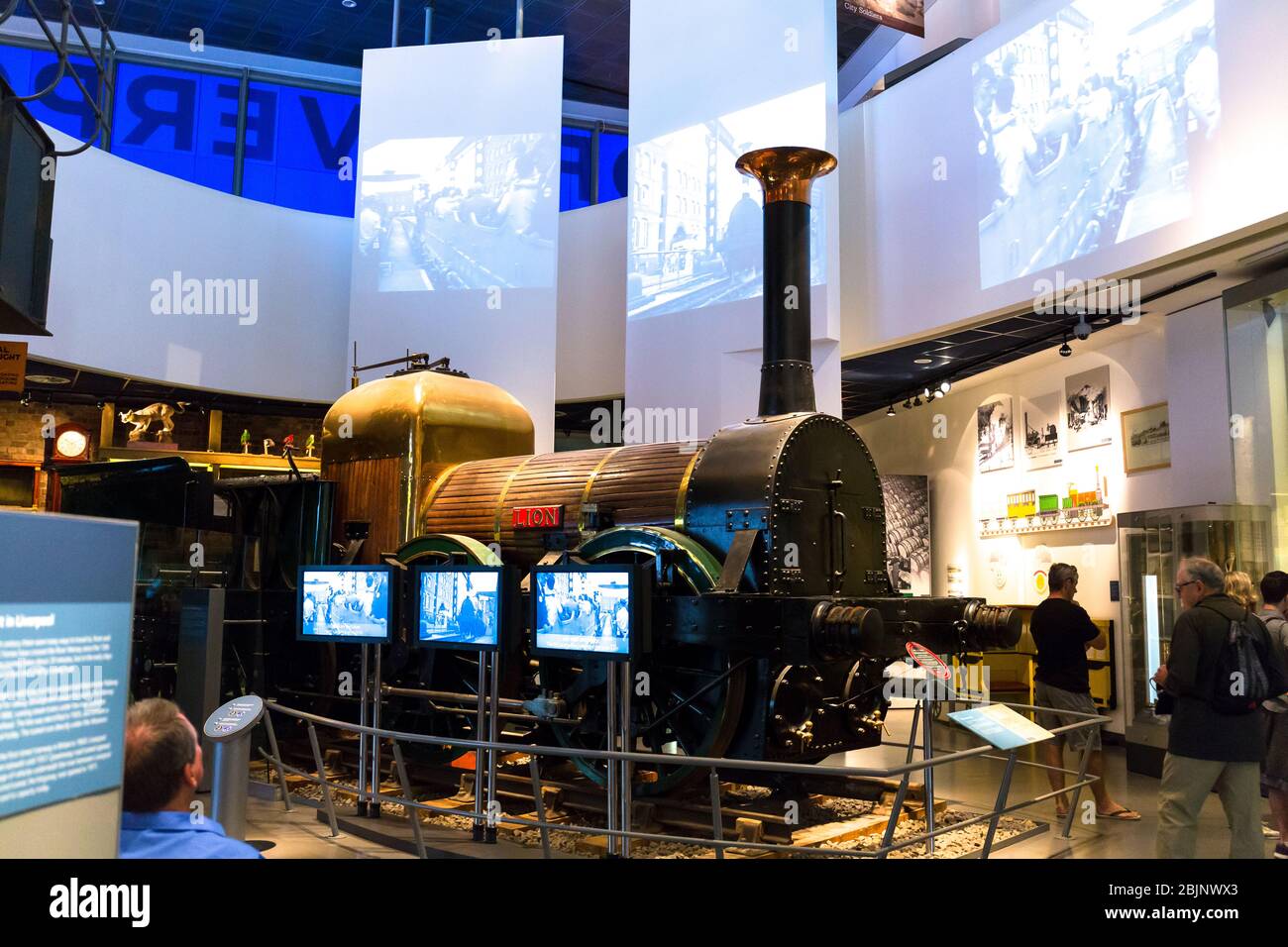 Lion on display in liverpool museum hi-res stock photography and images ...