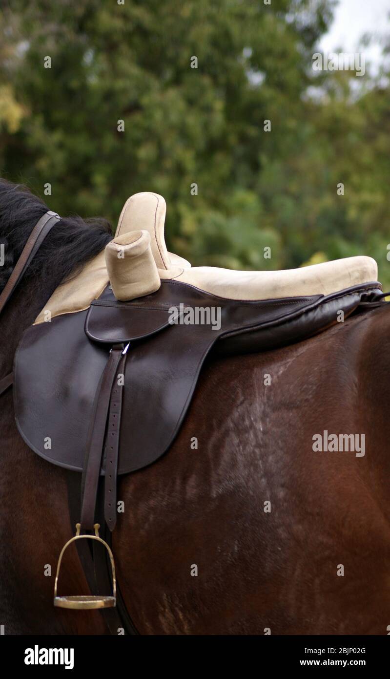 Sidesaddle hi-res stock photography and images - Alamy