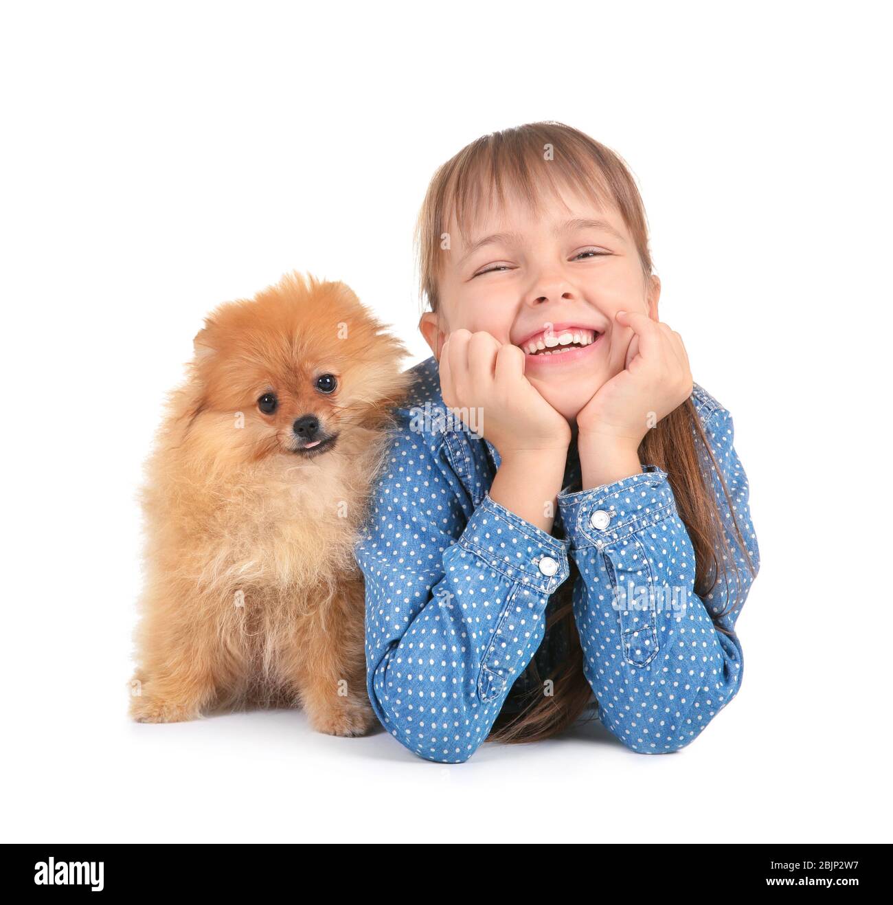 Cute girl with little dog on white background Stock Photo - Alamy