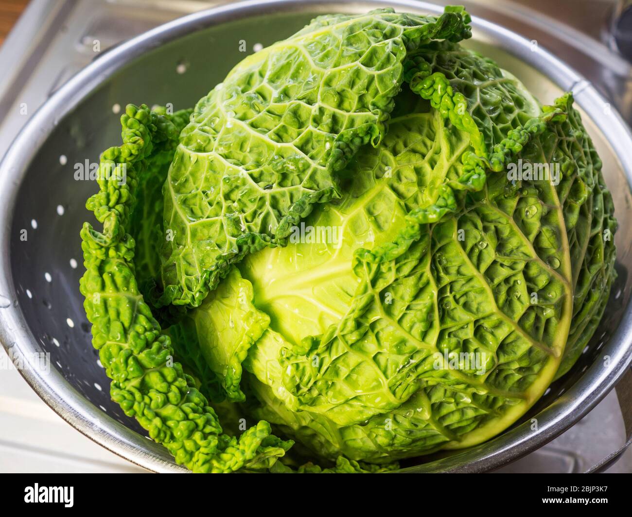 A whole savoy cabbage in a stainless steel colander on a kitchen ...