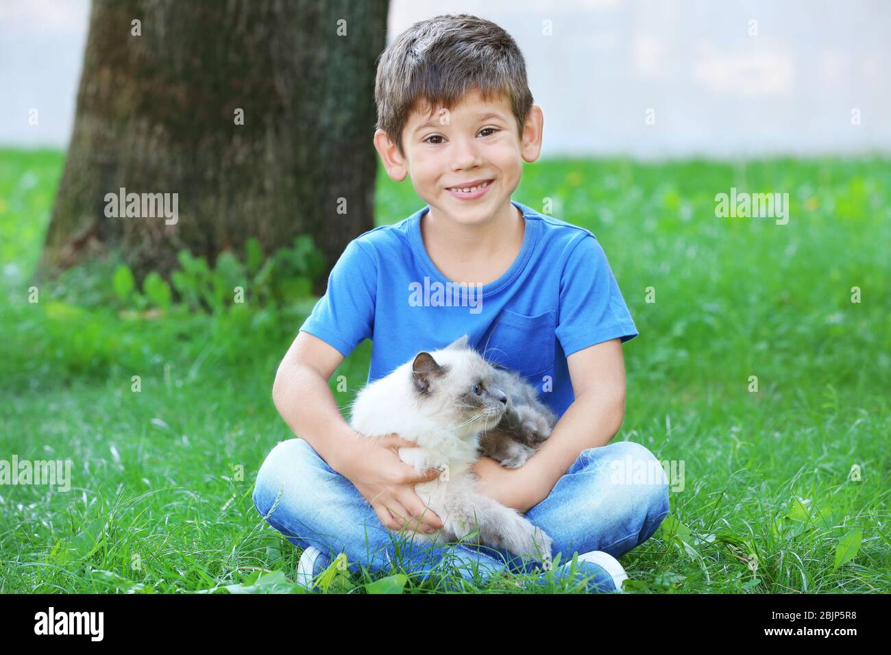 Cute little boy with fluffy cat outdoors Stock Photo - Alamy
