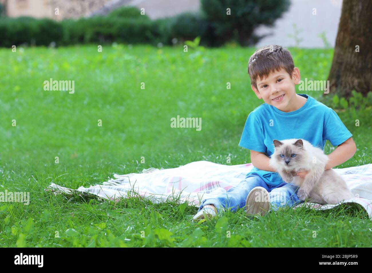 Cute little boy with fluffy cat outdoors Stock Photo - Alamy