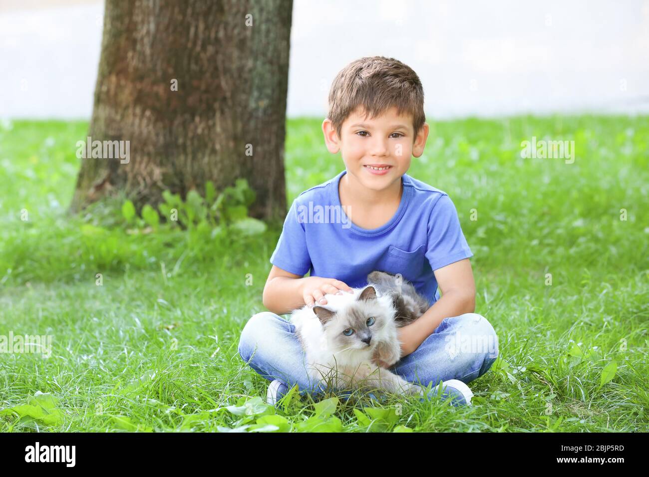 Cute little boy with fluffy cat outdoors Stock Photo - Alamy