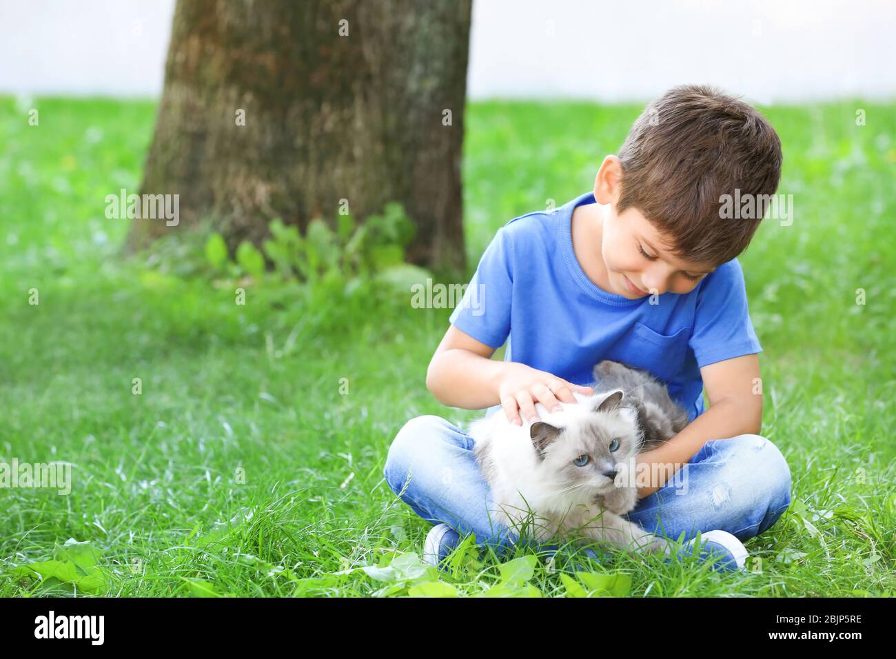 Cute little boy with fluffy cat outdoors Stock Photo - Alamy