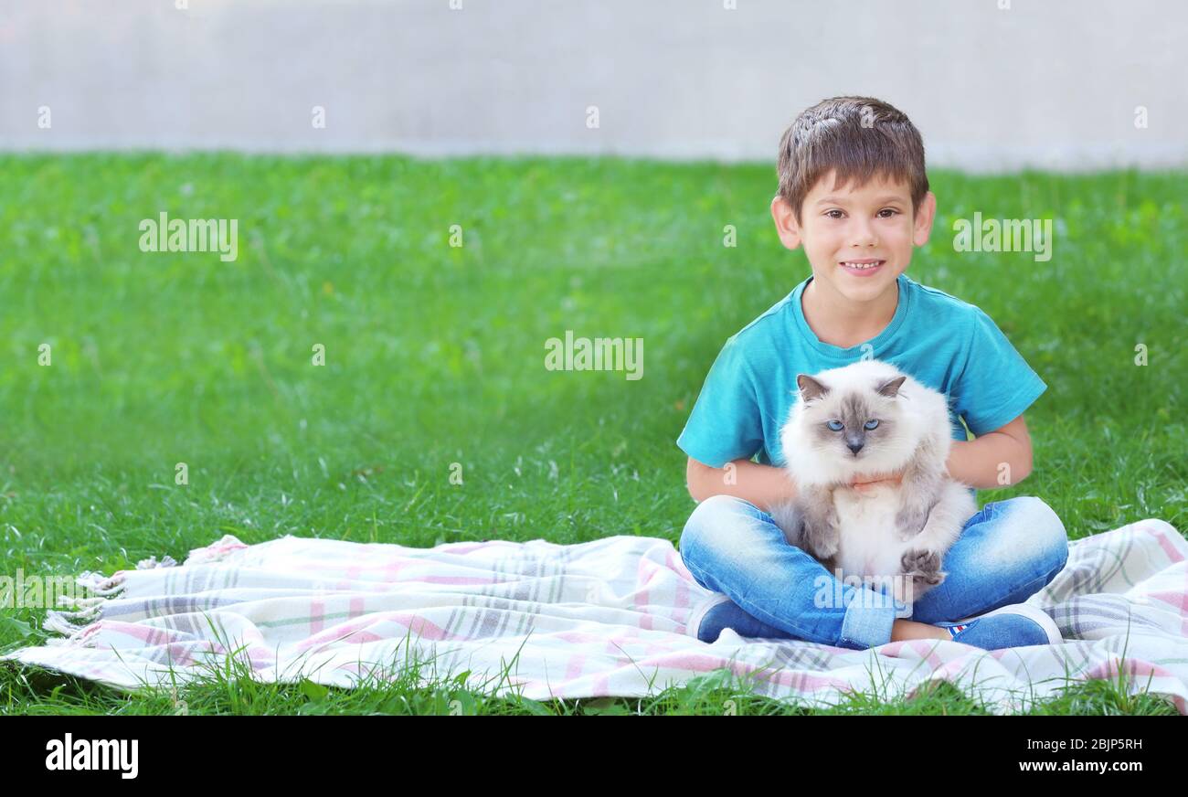 Cute little boy with fluffy cat outdoors Stock Photo - Alamy