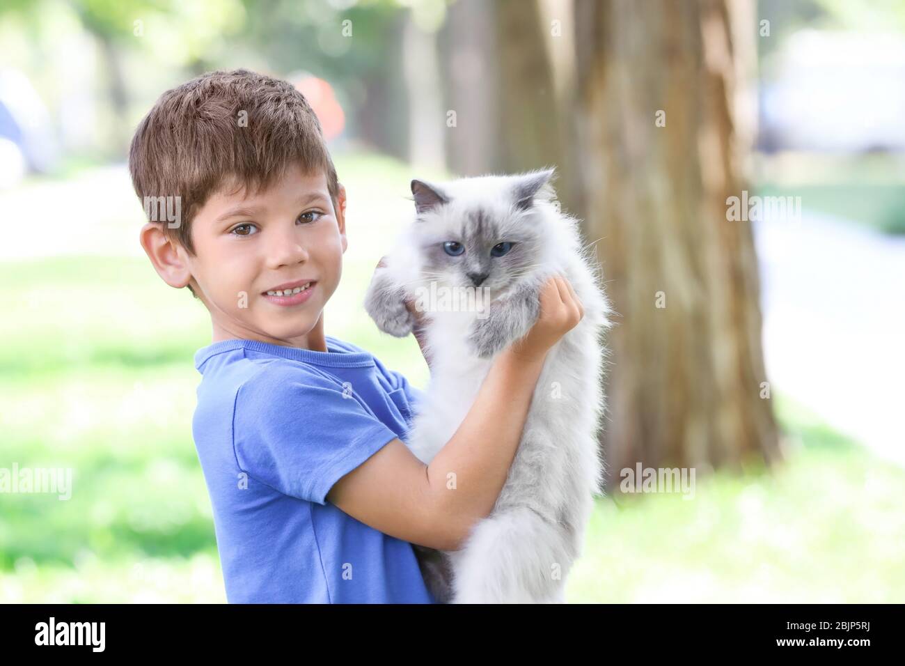 Cute little boy with fluffy cat outdoors Stock Photo - Alamy