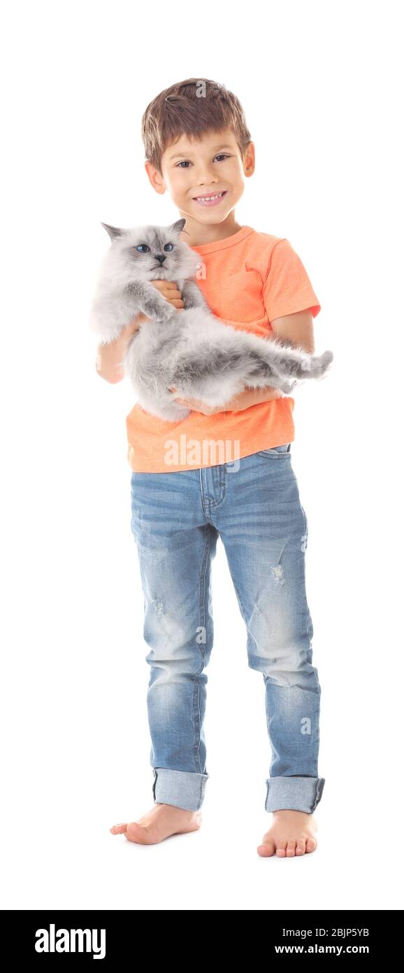 Cute little boy with fluffy cat on white background Stock Photo - Alamy