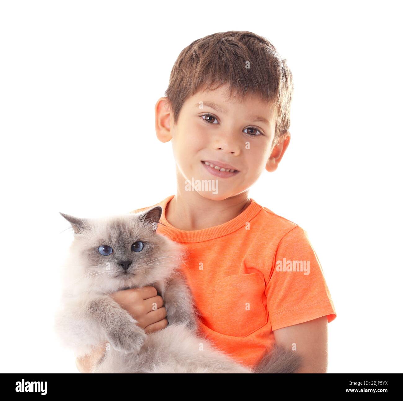 Cute little boy with fluffy cat on white background Stock Photo - Alamy