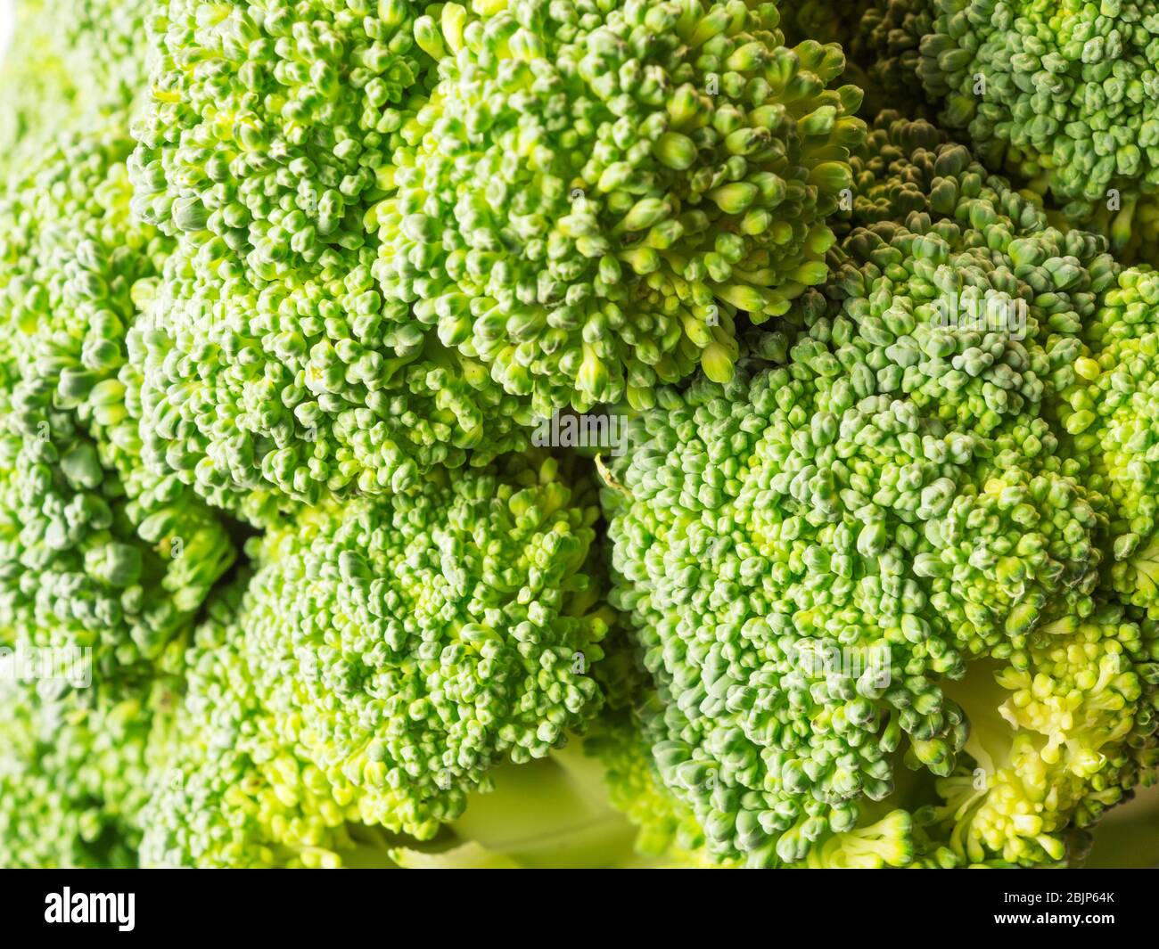 Calabrese hi-res stock photography and images - Alamy