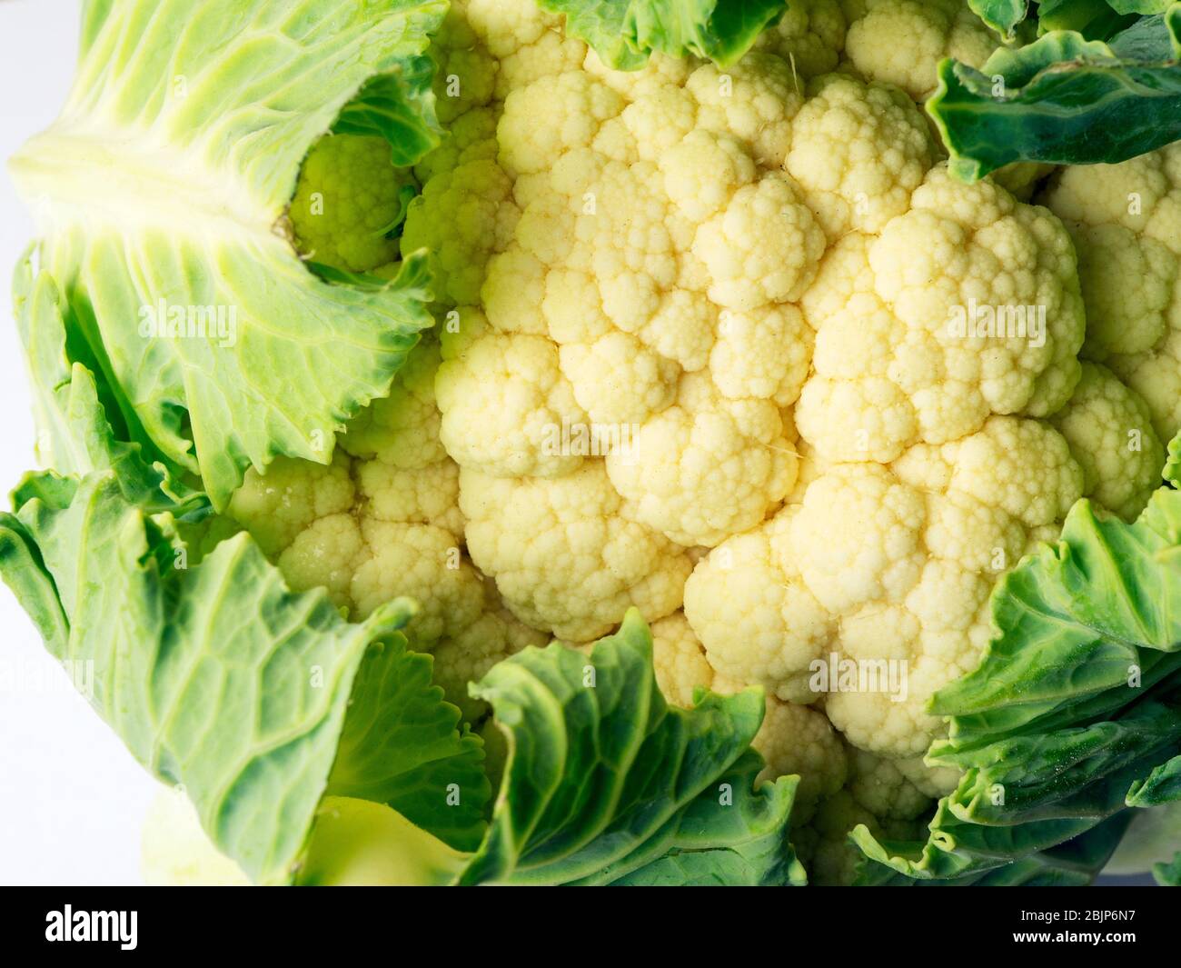 A single whole white cauliflower head surrounded by leaves Stock Photo ...