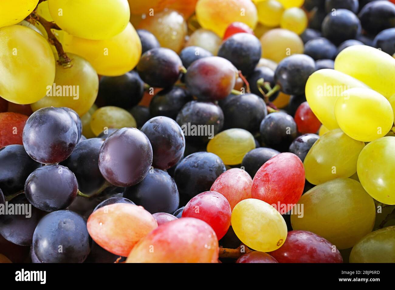 Different varieties of grapes, closeup Stock Photo - Alamy