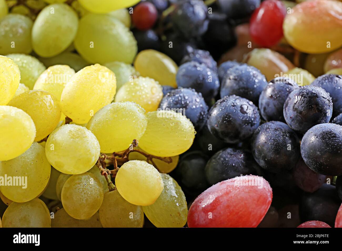 Different varieties of grapes, closeup Stock Photo - Alamy
