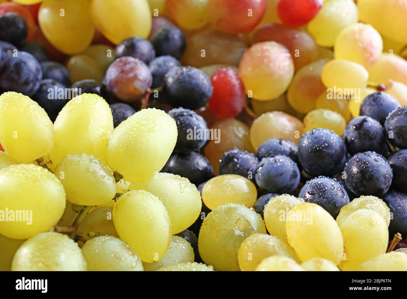 Different varieties of grapes, closeup Stock Photo - Alamy