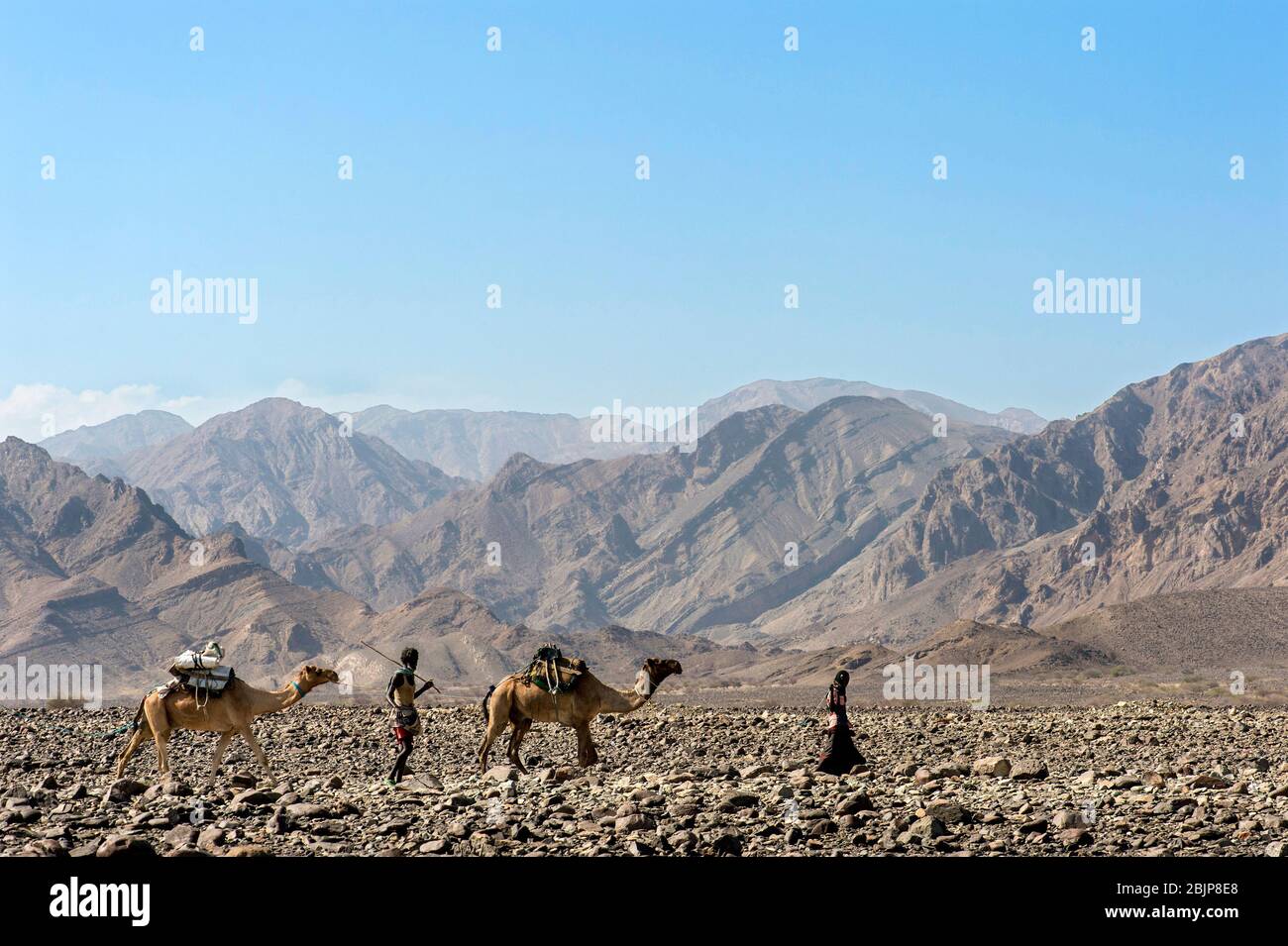 Afar ethiopia nomad hi-res stock photography and images - Alamy