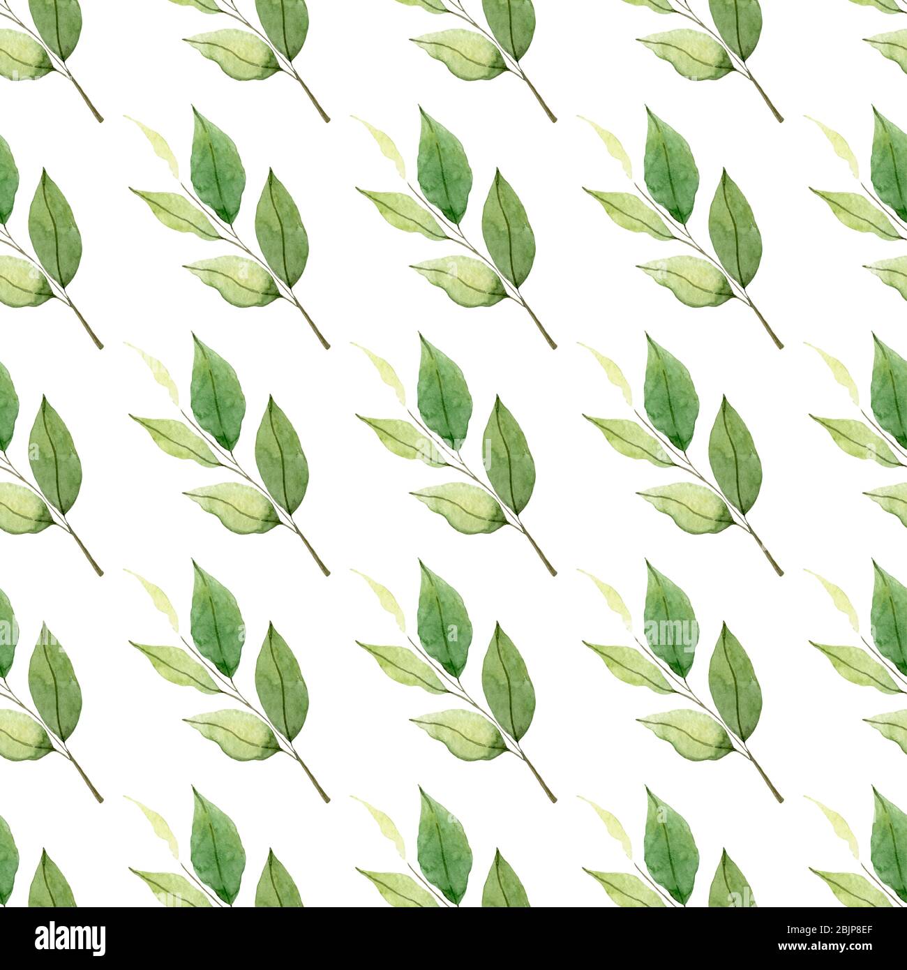 Seamless floral pattern in vintage style. Leaves and herbs. Botanical ...