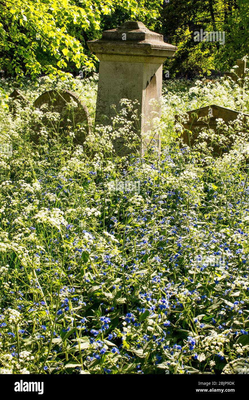 Gravestone in Brompton Cemetery, Kensington, London; one of the ...