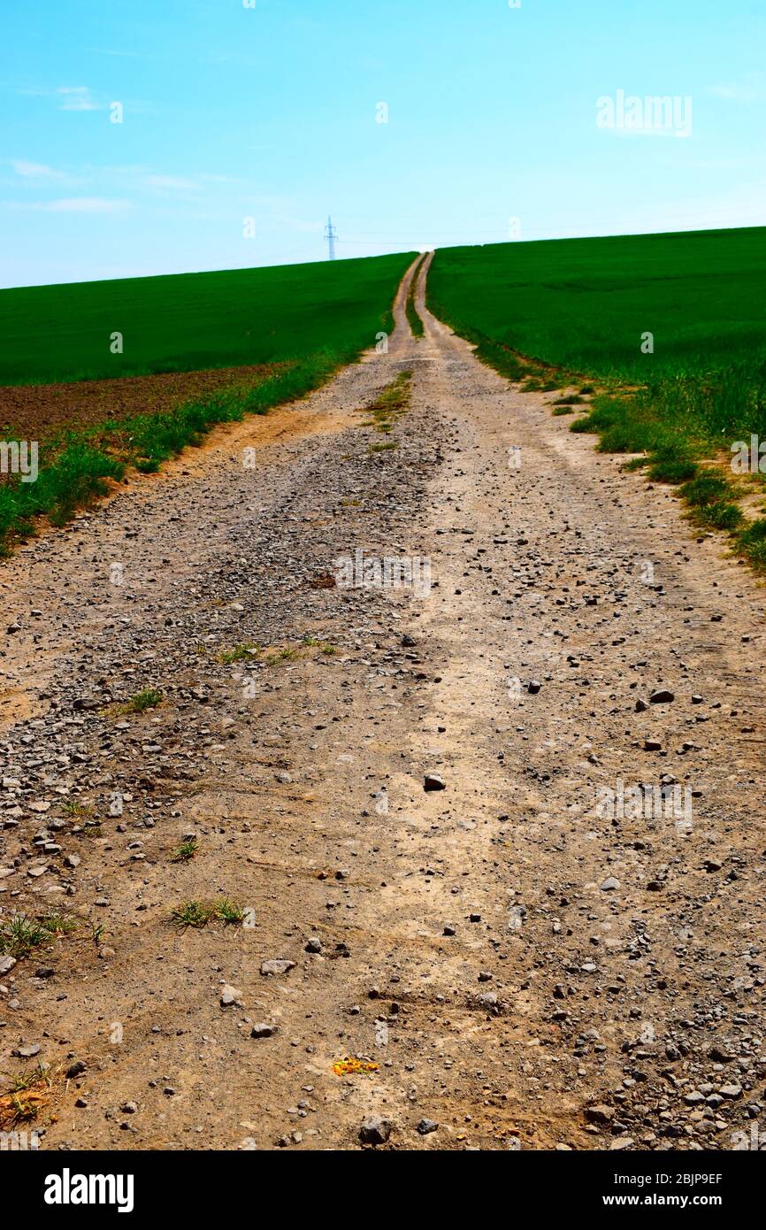 empty road through spring landscape in the Eifel Stock Photo - Alamy