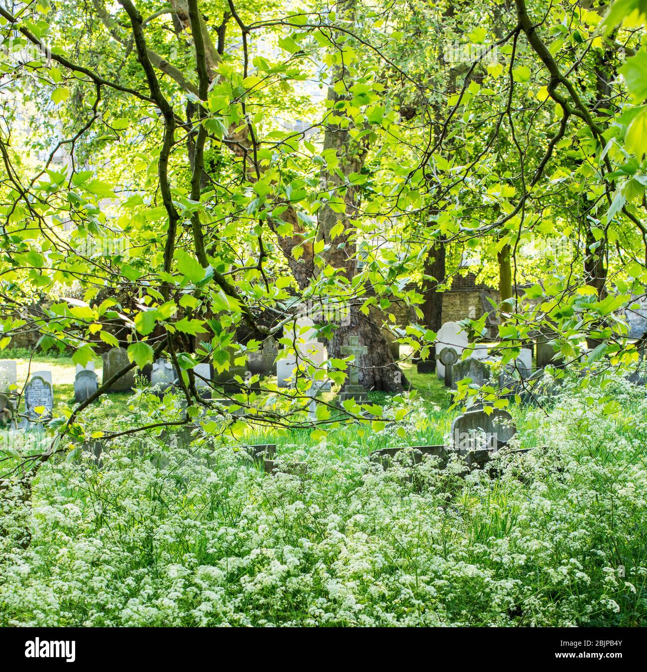 Brompton Cemetery, Kensington, London; one of the 'Magnificent Seven ...