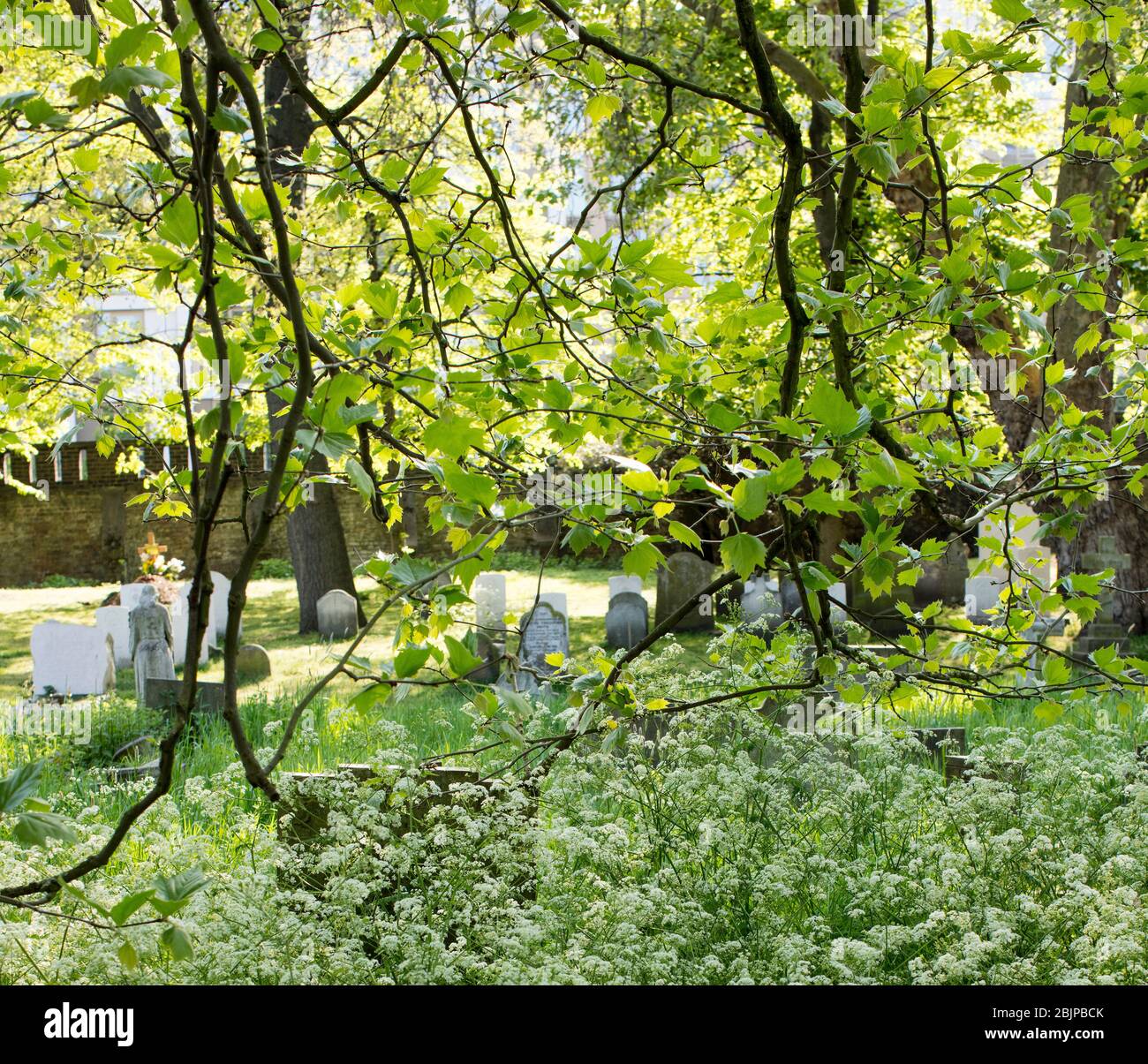 Brompton Cemetery, Kensington, London; one of the 'Magnificent Seven ...