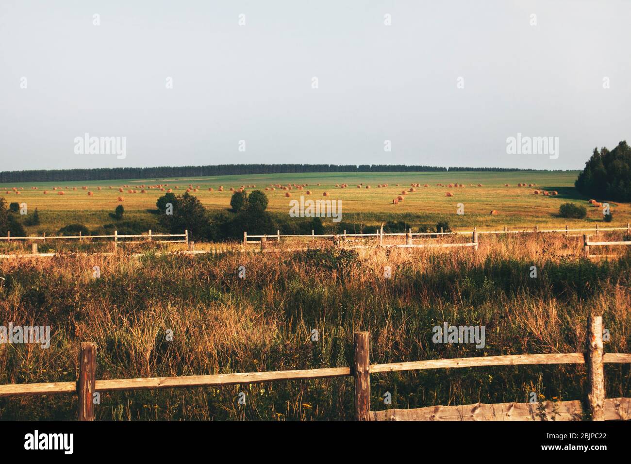 Golden field and fence hi-res stock photography and images - Alamy