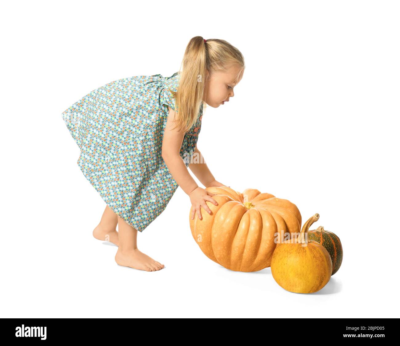 Adorable little girl with pumpkins on white background Stock Photo - Alamy
